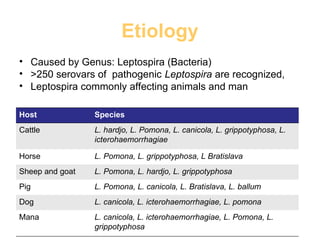 Leptospirosis in animals: Etiology to Control.ppt