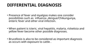 Diagnosis and treatment of leptospirosis.pptx