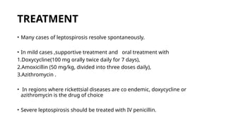 Diagnosis and treatment of leptospirosis.pptx