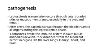Leptospirosis .pptx