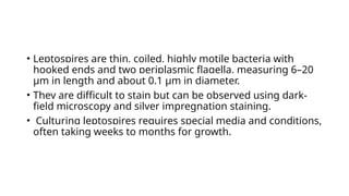 Leptospirosis .pptx