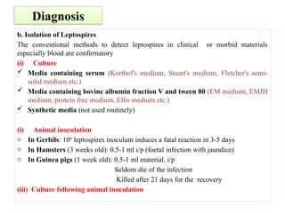 leptospirosis.pptx for medical studentss | PPT