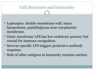 leptospirosis.pptx presentations Harrison principles of internal ...