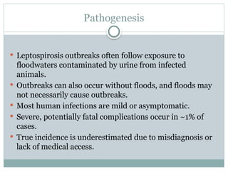 leptospirosis.pptx presentations Harrison principles of internal ...