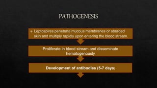 Leptospirosis kumar vikash - 55 | PPTX