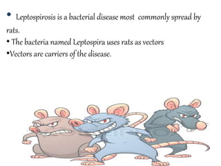 Leptospirosis | PPT