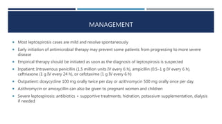 Leptospirosis | PPT