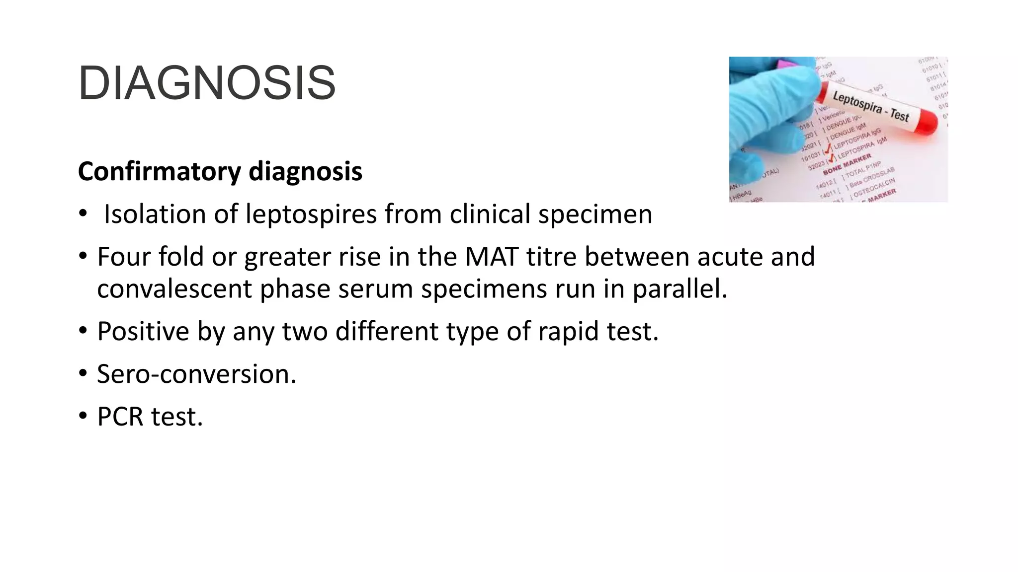 Leptospirosis prevention , Control | PDF