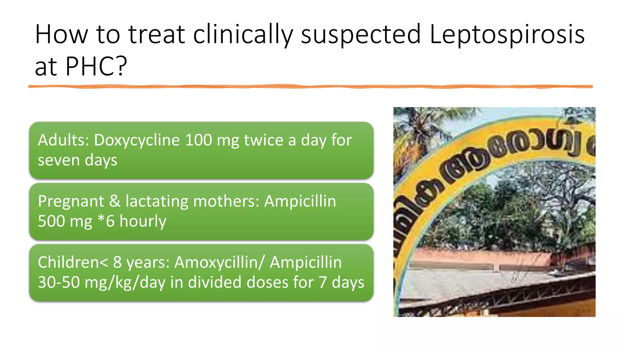 Leptospirosis prevention , Control | PDF