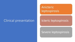 Leptospirosis prevention , Control | PDF