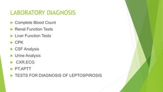 LEPTOSPIROSIS INFECTION IN CLINICAL ASPECT | PPTX