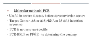 Leptospirosis- Dr.Ashna Ajimsha | PPT