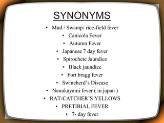 LeptospirosisbyDrPreetShah.ppt