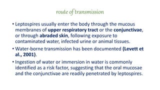 Leptospirosis by sk | PPTX