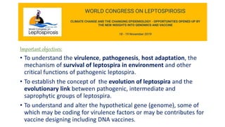 Leptospirosis by sk | PPTX