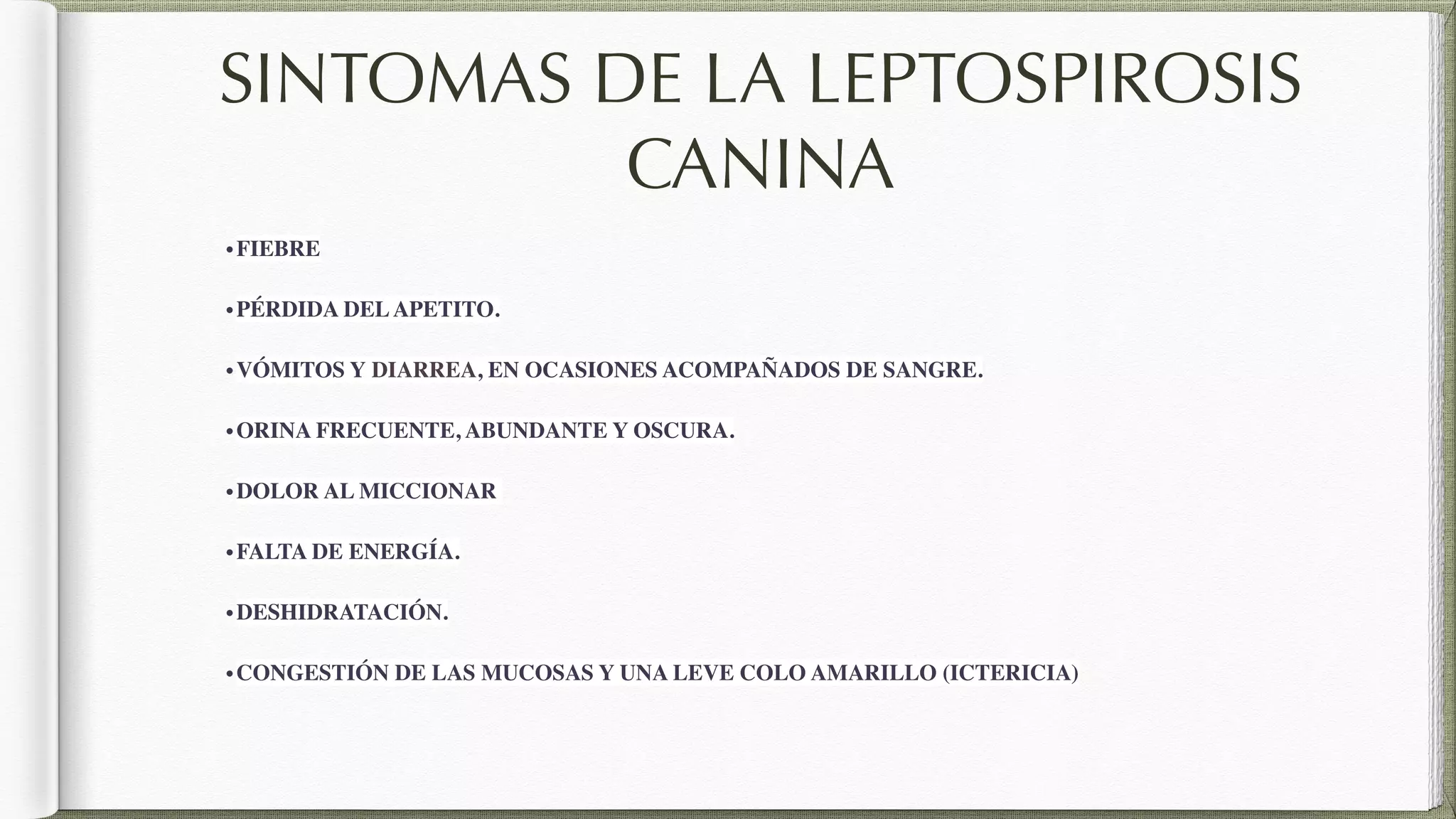 Leptospirosis canina | PDF