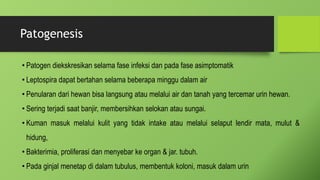 Leptospirosis dan Bovine Tuberculosis.pptx