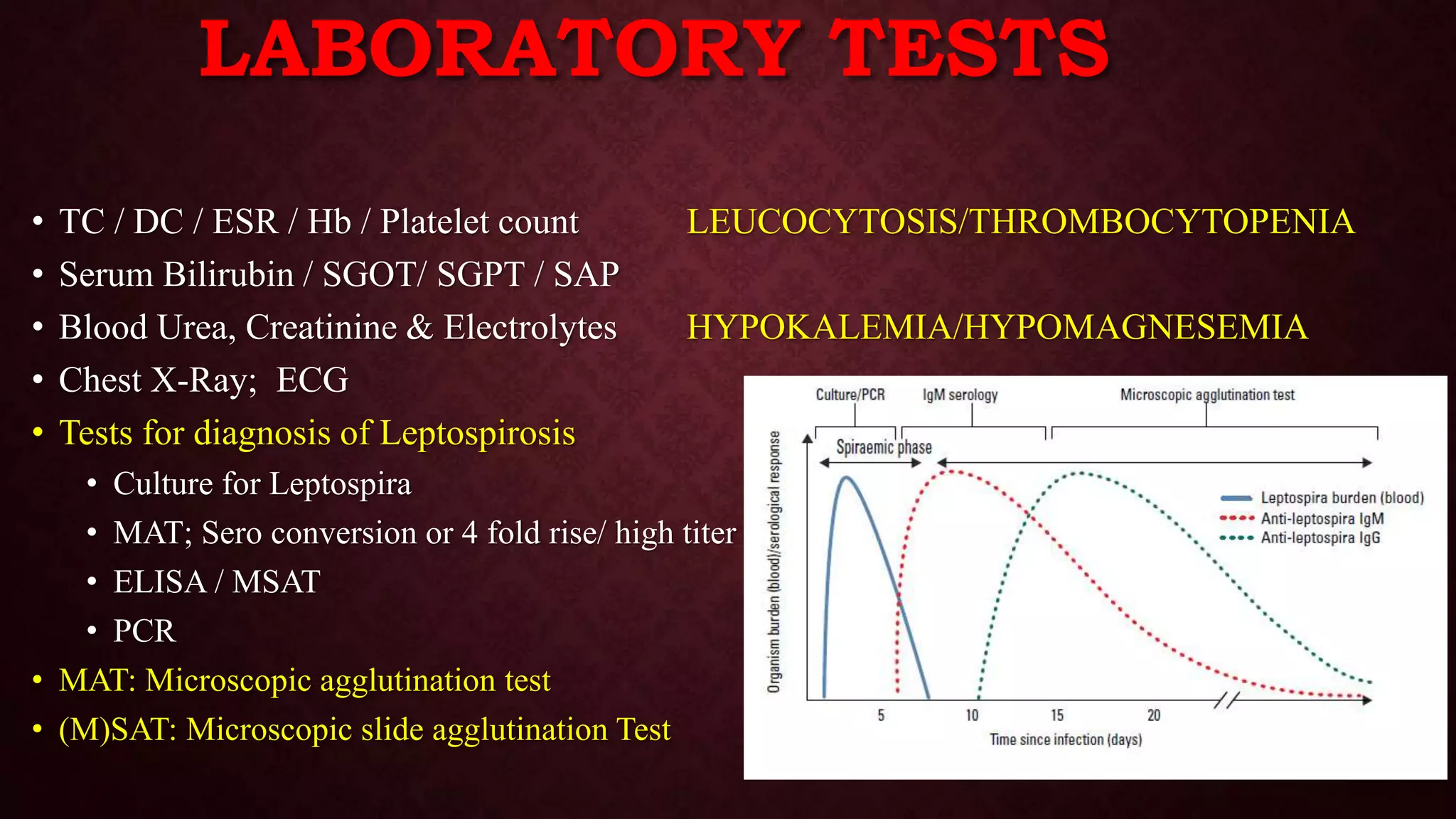 Leptospirosis : update on management | PPTX