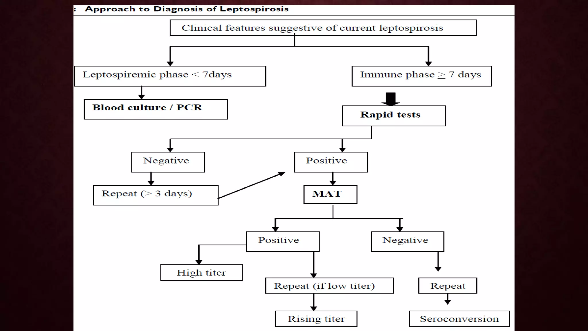 Leptospirosis : update on management | PPTX