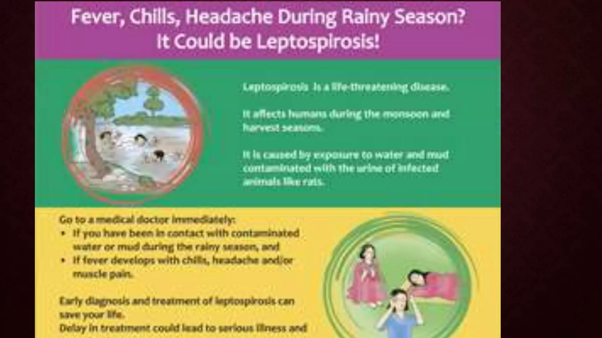 Leptospirosis : update on management | PPTX