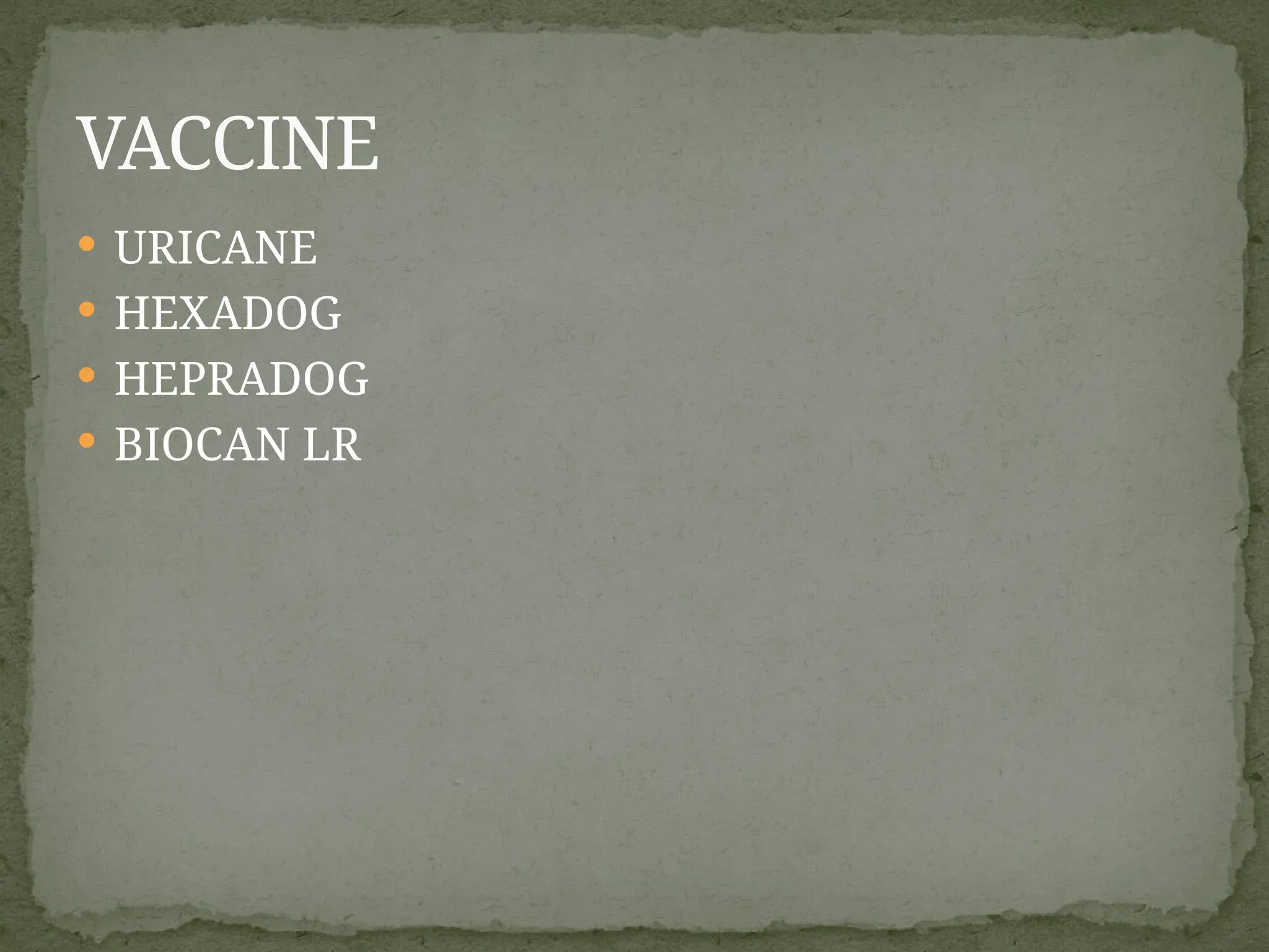 LEPTOSPIROSIS IN CATS & DOGS Well Defined | PPTX