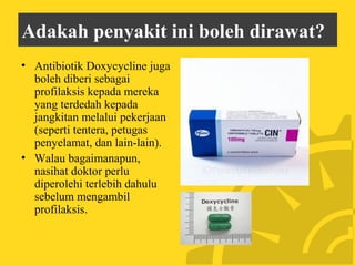 Penyakit Kencing Tikus | PPT