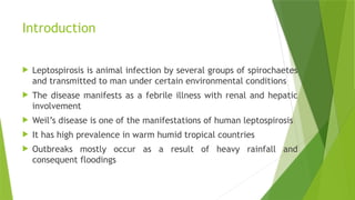 Epidemiology and Management of Leptospirosis.pptx