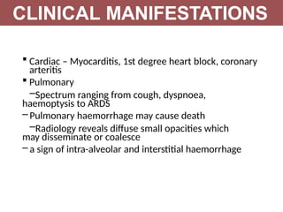 Leptospirosis notes IM full notes with clinical | PPT