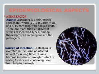 Class Presentation on LEPTOSPIROSIS ppt.pptx