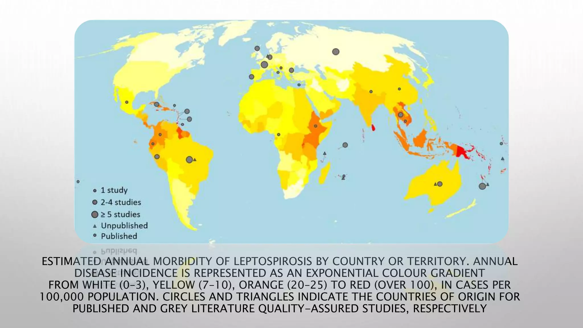 Leptospirosis presentation | PPTX