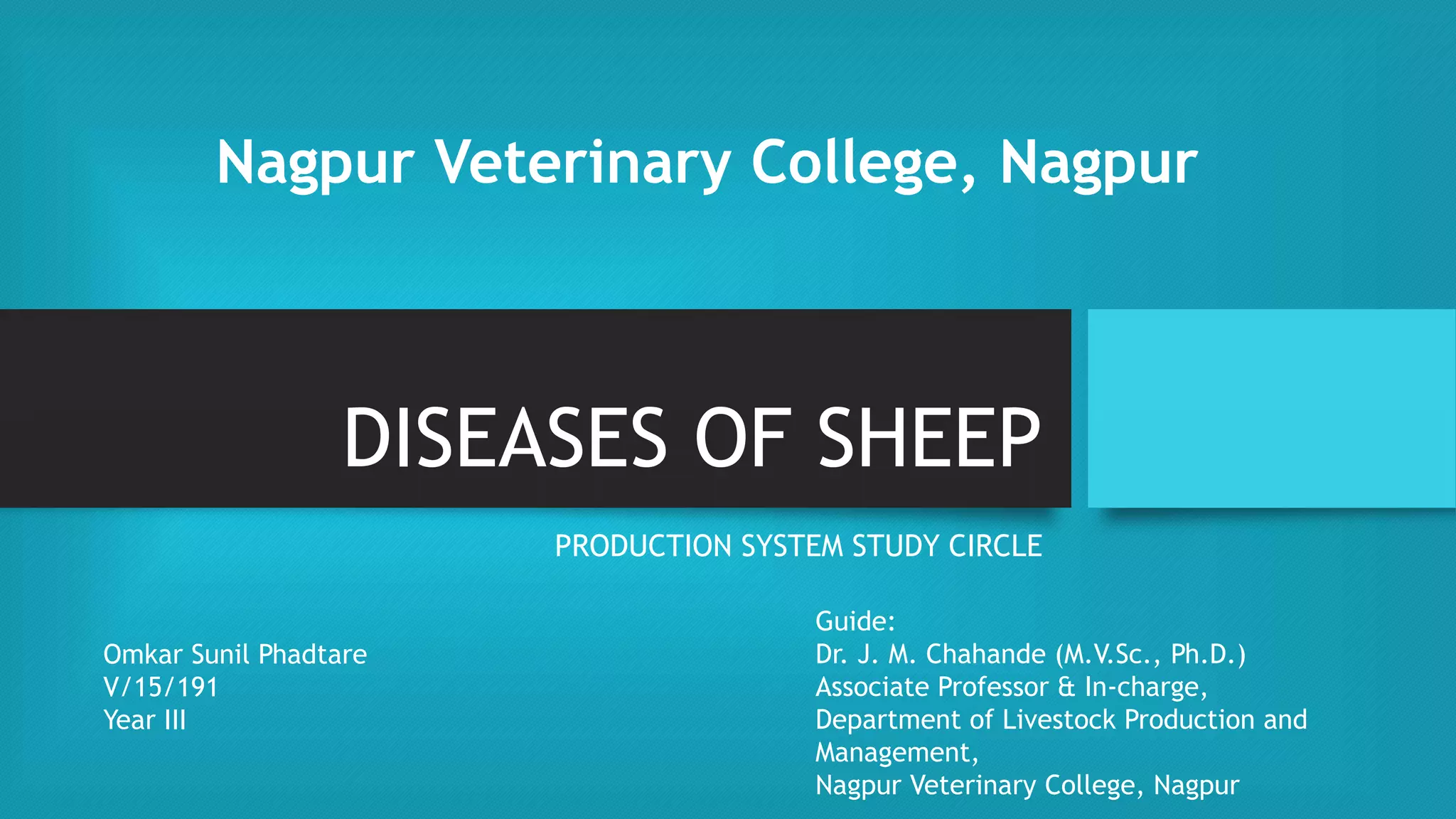 Diseases of Sheep | PPTX