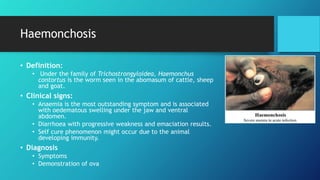 Diseases of Sheep | PPTX