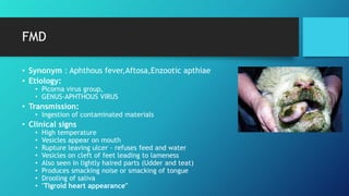 Diseases of Sheep | PPTX
