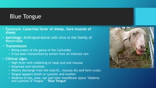 Diseases of Sheep | PPTX