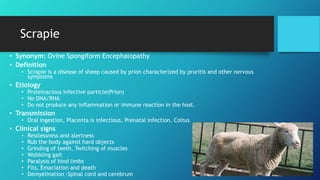 Diseases of Sheep | PPTX