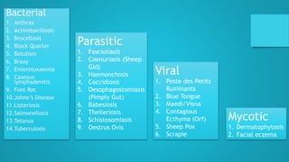 Diseases of Sheep | PPTX