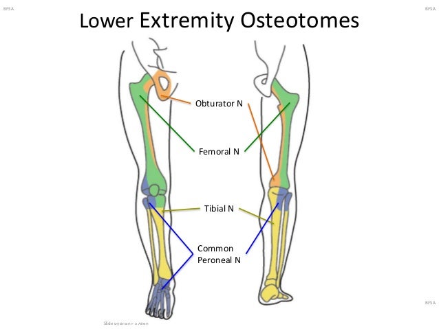 Lower Extremity Regional Anesthesia
