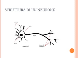 Le reti neurali | PPT