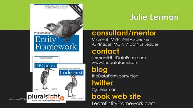 Julie Lerman: Entity Framework FTQs (Frequently Tweeted Questions) | PDF