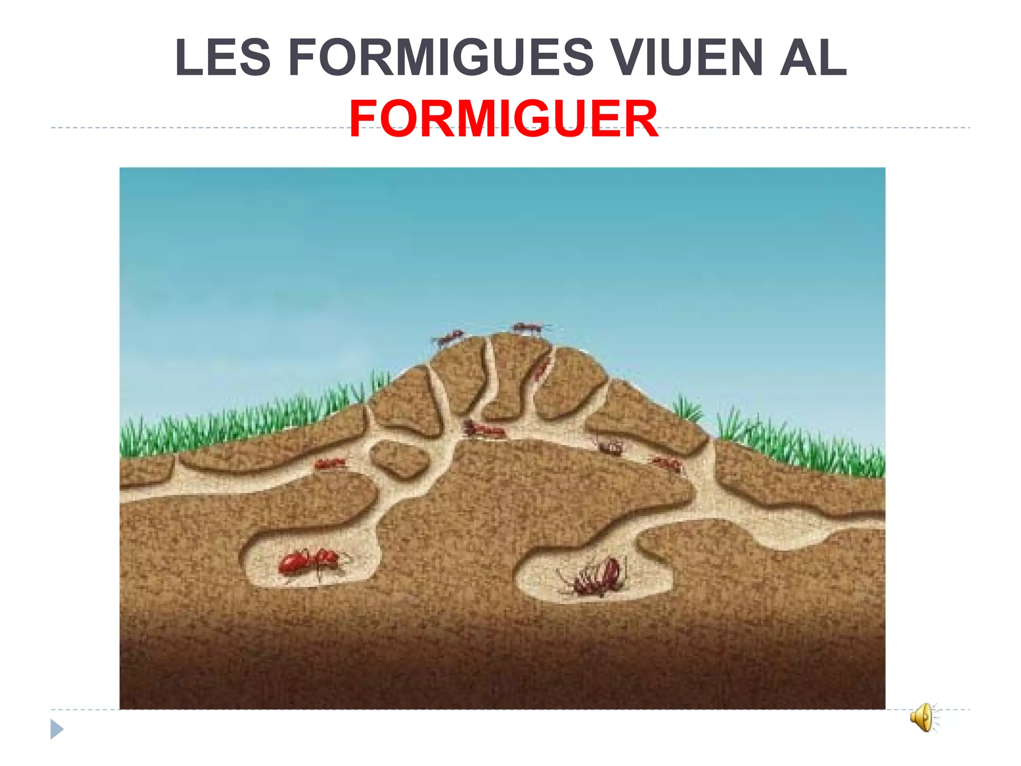 Les Formigues2 | PPT