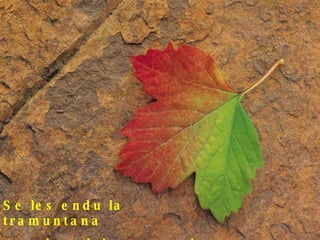 Les Fulles Seques | PPT