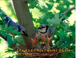 Les Fulles Seques | PPT