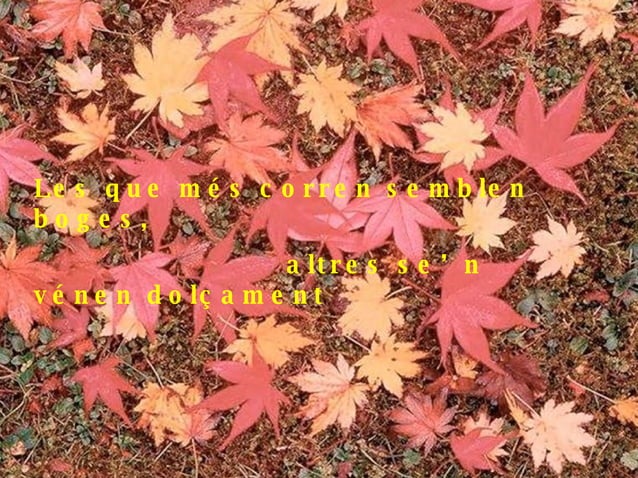 Les Fulles Seques | PPT