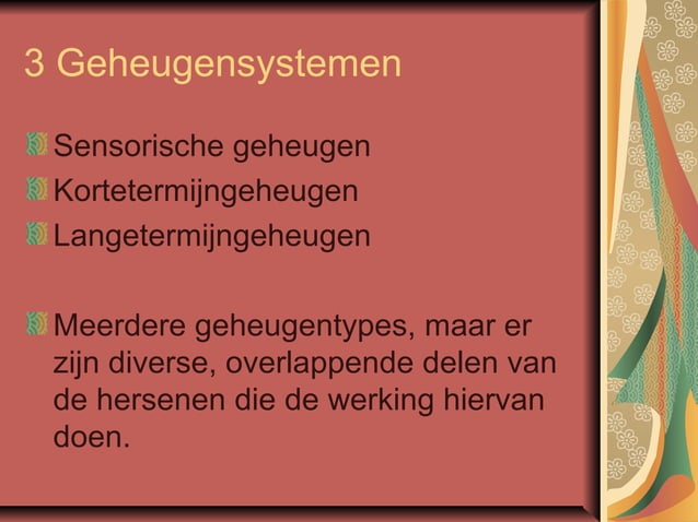 Les 1, het geheugen | PPT