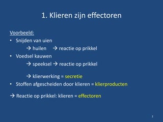 Klierwerking | PPTX
