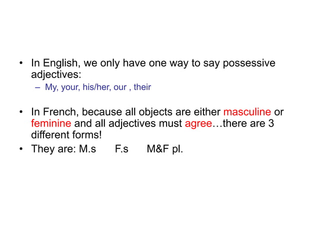 Les Adjectifs Possessifs.ppt