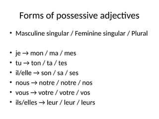 Learning to Use French Possessive Adjectives in Everyday Sentences | PPTX