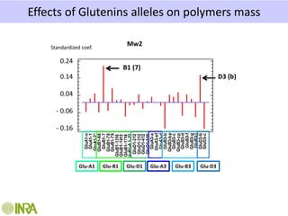 Effects of HMW- & LMW-glutenins and grain hardness on size of wheat ...