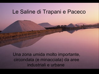 ATTPT Le saline di trapani e paceco | PPT
