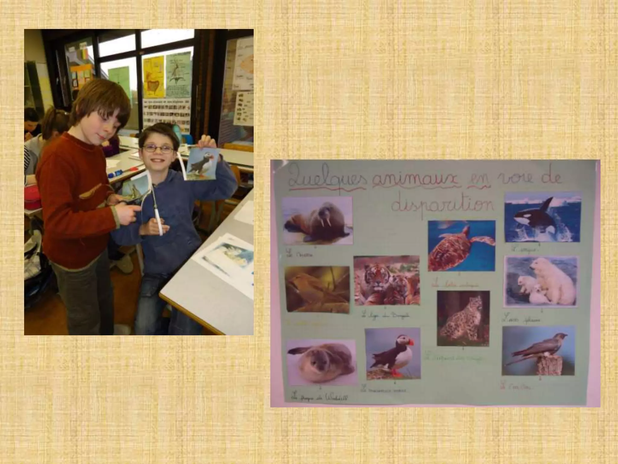 Les animaux en voie de disparition anglais | PPTX